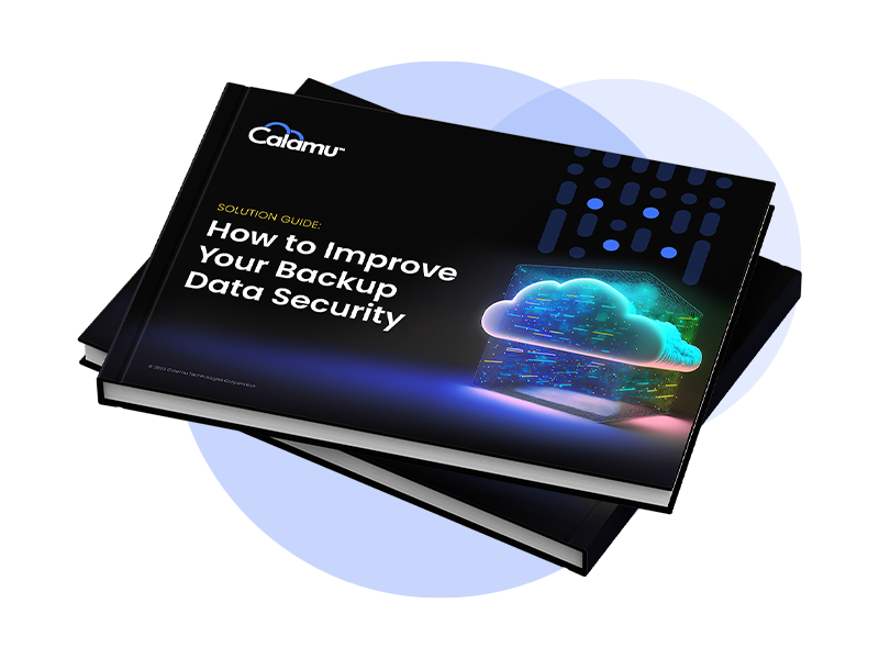 Solution Guide: How to Improve Your Backup Data Security | Download